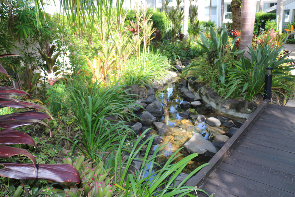Resort Pools at Coolum at the Beach