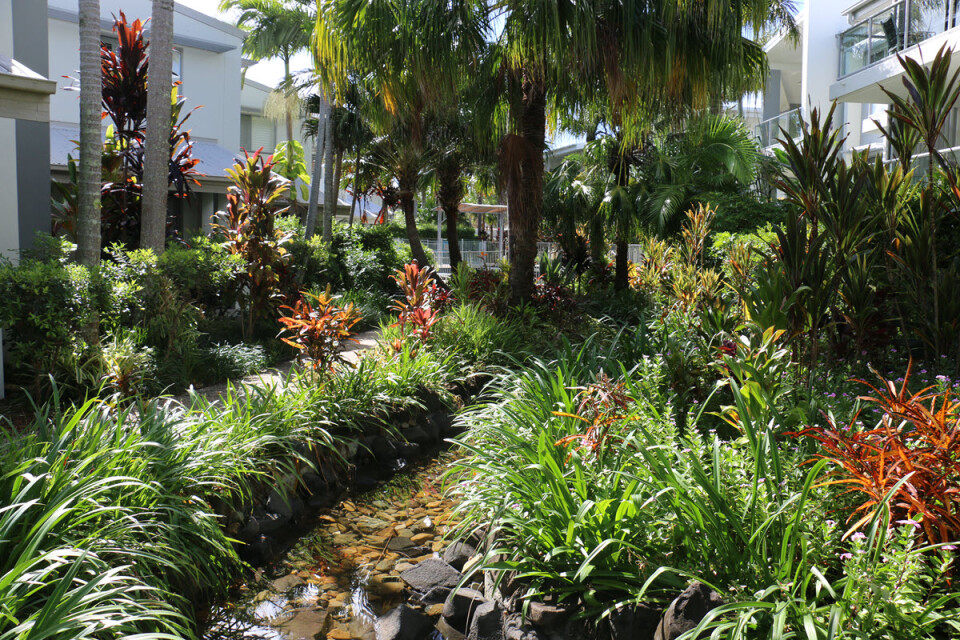 Resort Pools at Coolum at the Beach